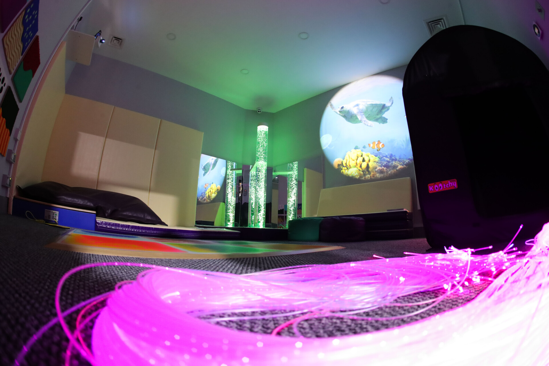 Sensory | High Rise NI