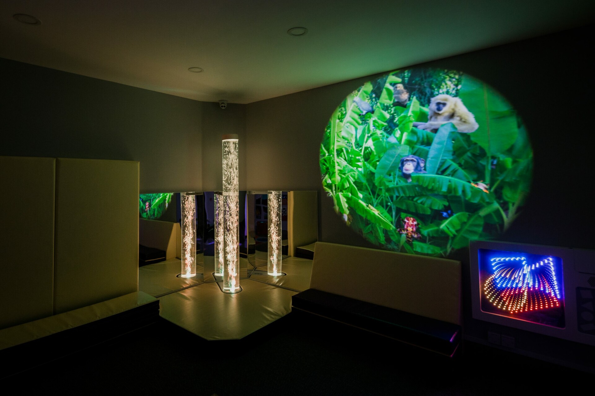 New Sensory Room Packages at High Rise Lisburn